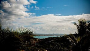Vista da propriedade