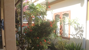 Pátio com diversas plantas e uma porta.