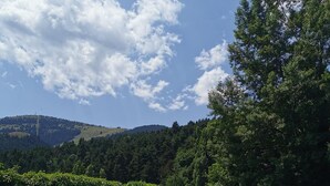 Piscina azul límpida com escada, rodeada por vegetação exuberante e uma colina arborizada ao fundo.