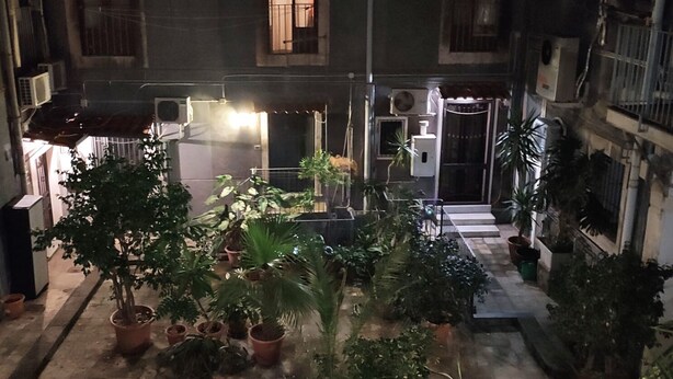 Pátio com plantas em vasos e uma escadaria central.
