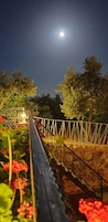 Cena noturna de um jardim, com céu iluminado pela lua, um muro de pedra e uma cerca de metal.