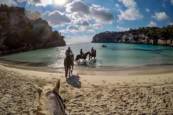 Passeios a cavalo