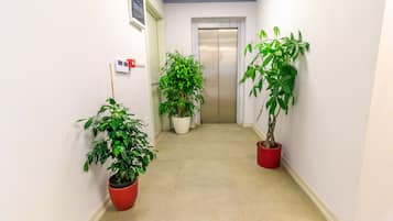 Entrada