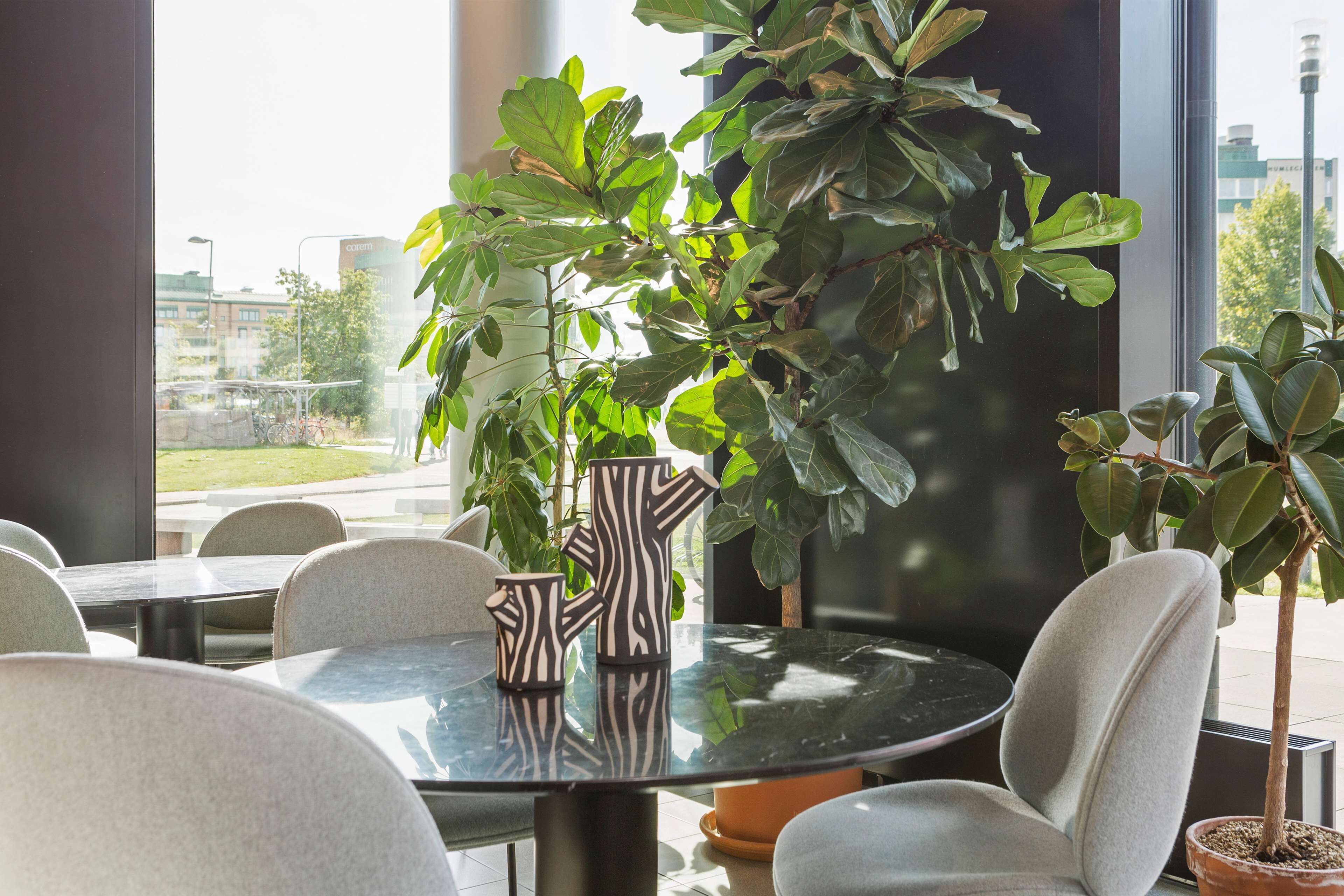 Uma área de estar interna moderna, com mesa de vidro, cadeiras e plantas em vasos.
