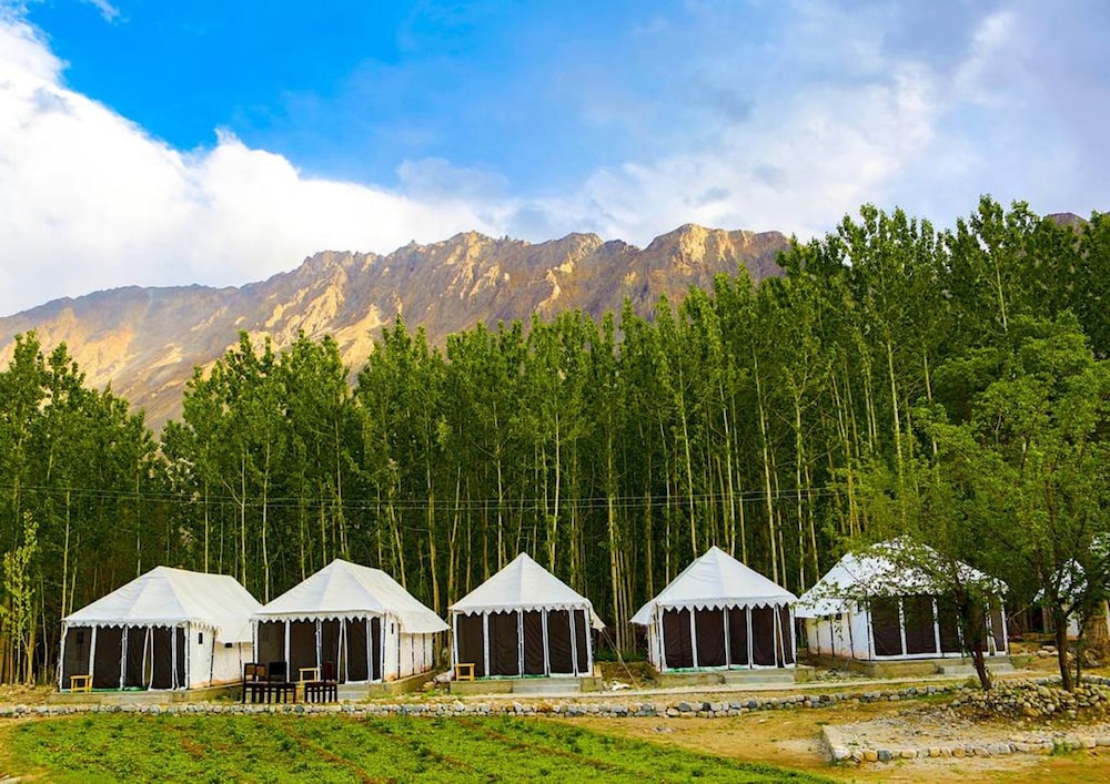 Ladakh Tarrain Camp - Nubra Valley