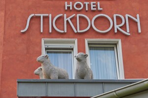 Escrivaninha, cortinas blackout, ferros/tábuas de passar roupa
