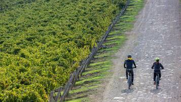 Duas pessoas andando de bicicleta por uma estrada de terra cercada por vinhedos.