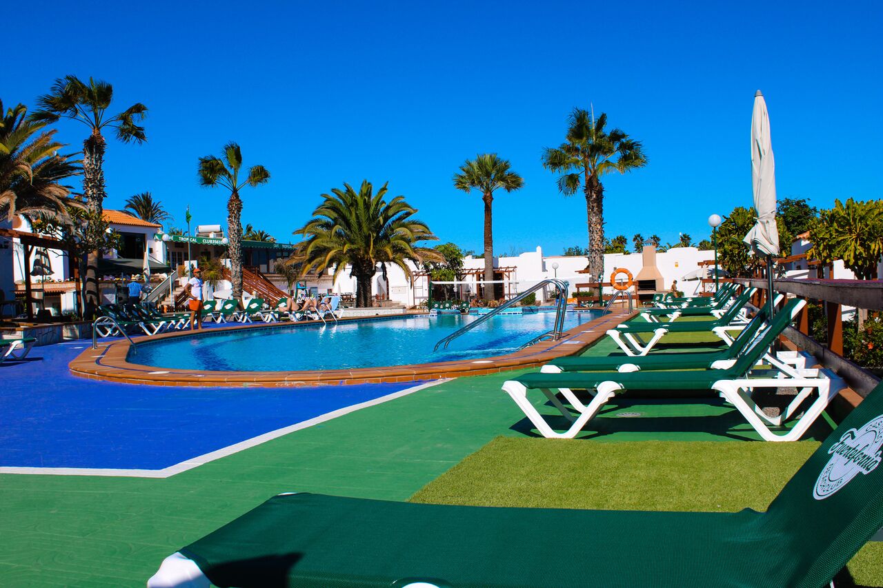 Uma área de piscina com várias espreguiçadeiras e palmeiras.
