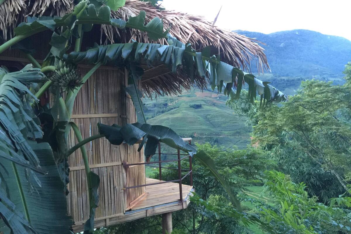 Uma construção com telhado de palha e plataforma de madeira, rodeada por vegetação exuberante e colinas ao fundo.