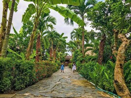 Jardim