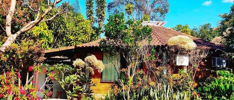 Uma casa com telhado de cerâmica, rodeada por vegetação exuberante e diversas plantas.