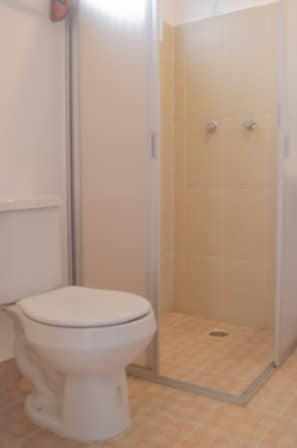 Uma casa de banho com sanita, cabine de duche e paredes revestidas a mosaicos.