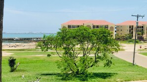 Um edifício costeiro com telhado vermelho, rodeado por vegetação e uma vista clara do mar.