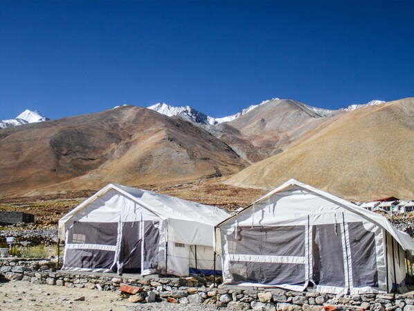 Tenda, 1 cama de casal, não fumadores | Vista do quarto