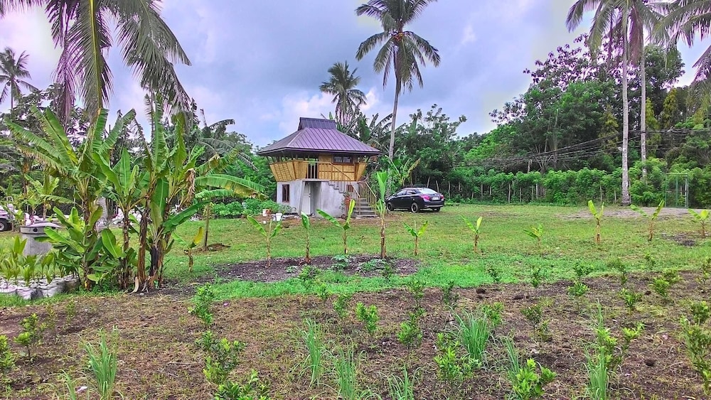 Emperor's Organic Farm - Amadeo