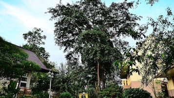 Terrenos do alojamento