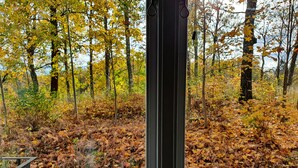 Uma floresta com folhas de outono, um corrimão de metal e um esquadro de janela.