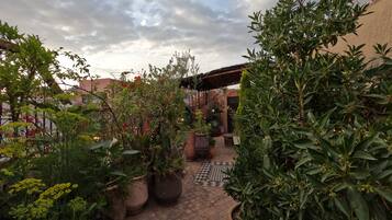 Jardim