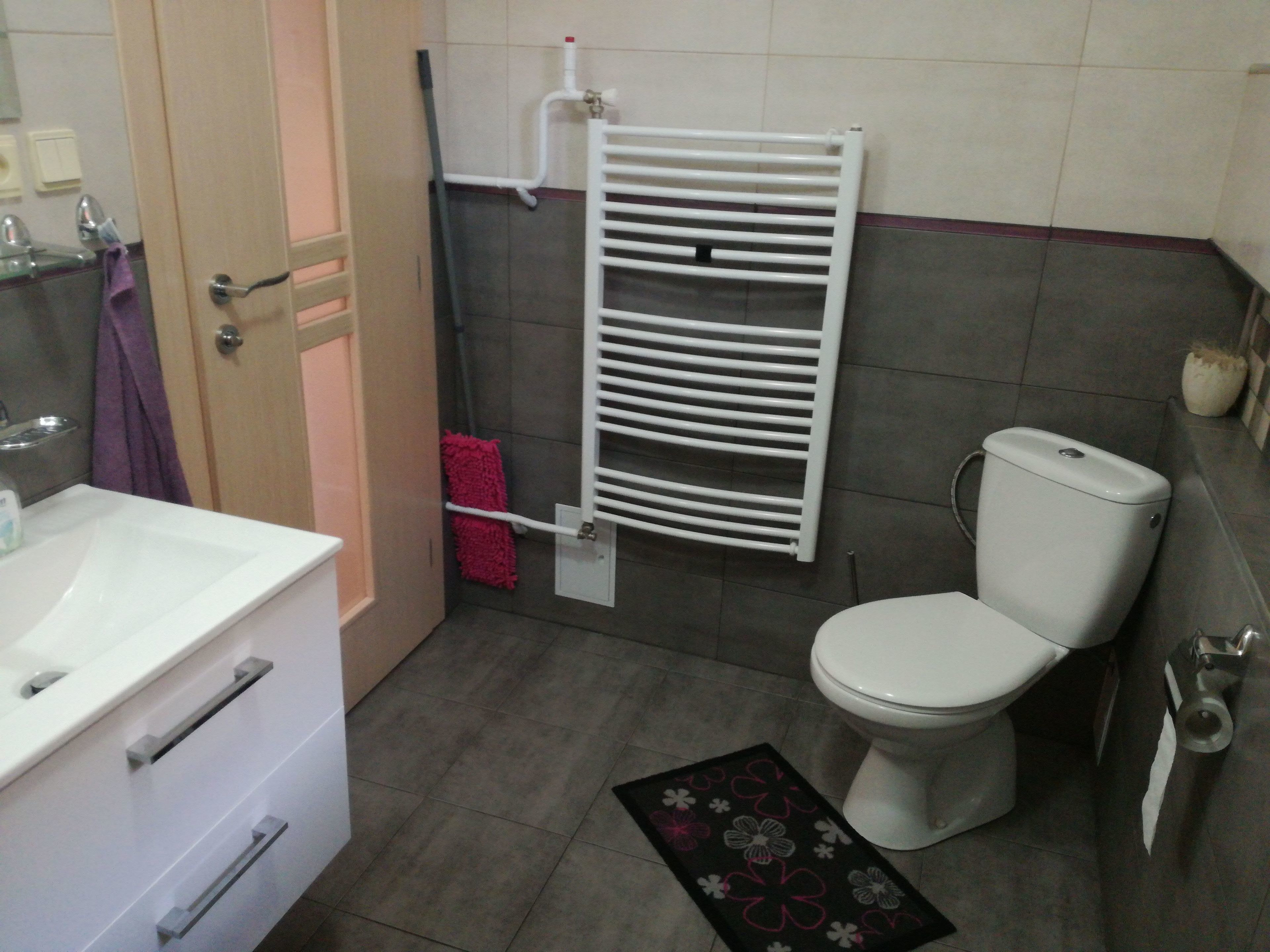 Uma casa de banho com uma pia branca, sanita, porta-toalhas e área de duche.