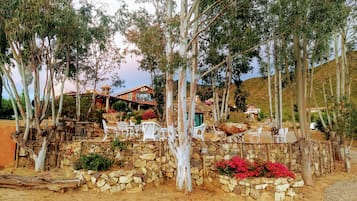 Vista para o jardim