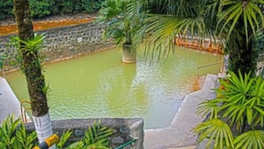 Piscina com muro de pedra e palmeiras.