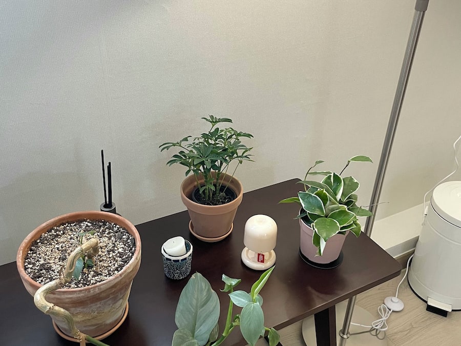 Um frigorífico no espaço comum, um micro-ondas no espaço comum