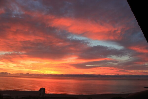 Vila Flavia B&b - Constanța