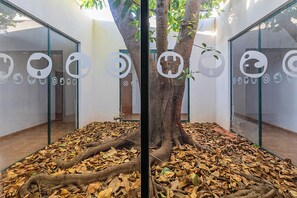 Terraço/pátio interior