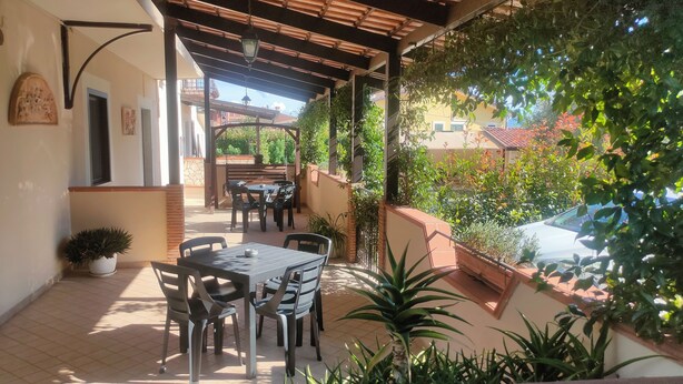 Um pátio externo com mesa e cadeiras, rodeado por vasos de plantas e vista para uma área residencial.