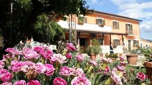 Um edifício com varanda e um jardim com flores cor-de-rosa ao primeiro plano.