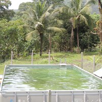 Piscina exterior sazonal 