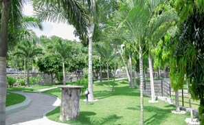Jardim