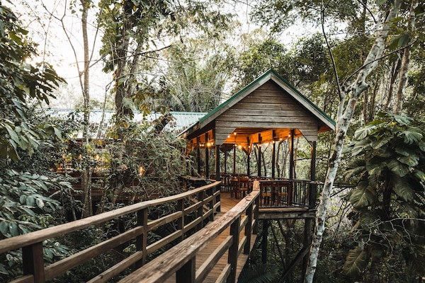 Pequenos-almoços servidos, cozinha local, com vista para o jardim