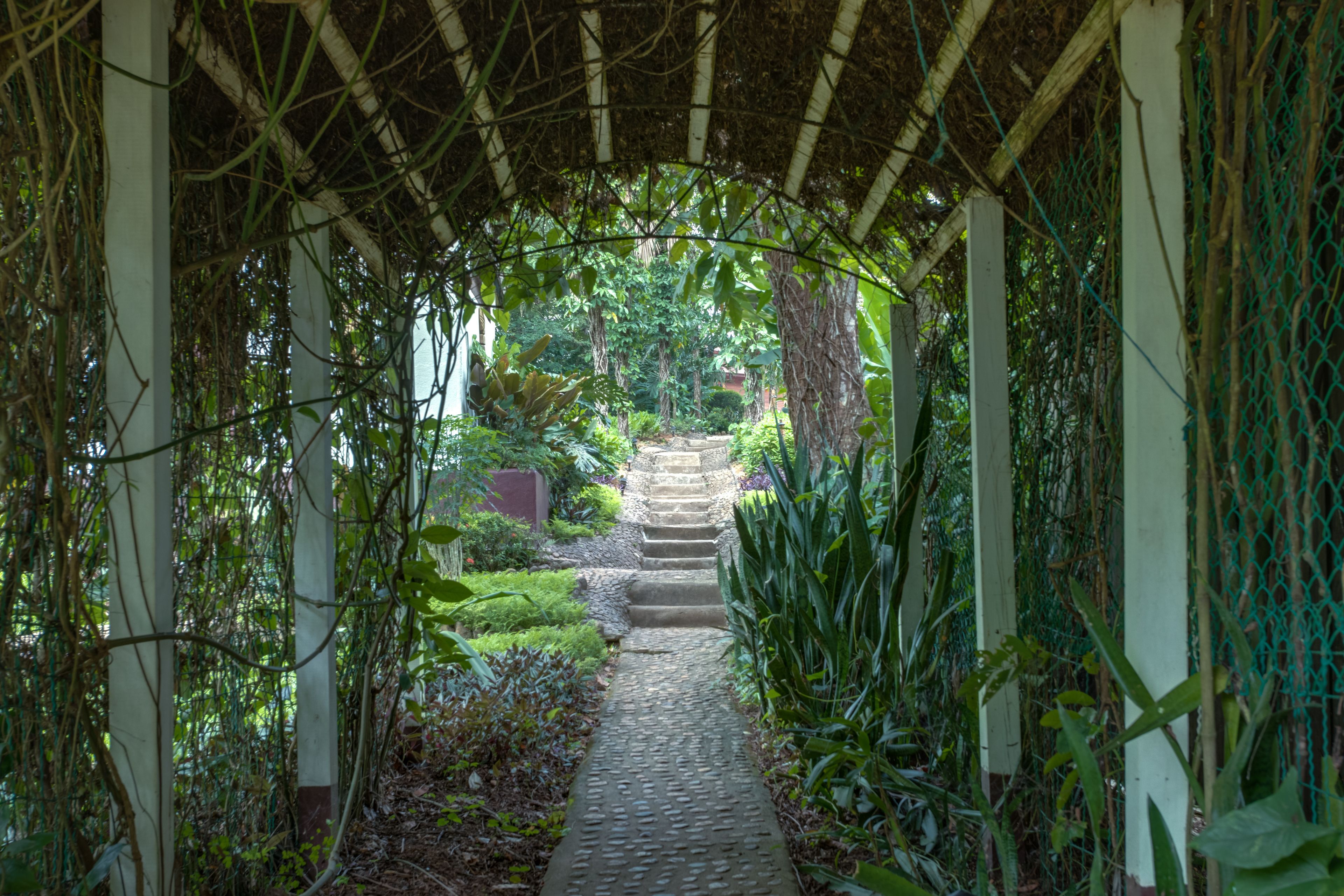 Uma trilha de pedra serpenteia por um jardim exuberante, com uma galeria coberta acima.