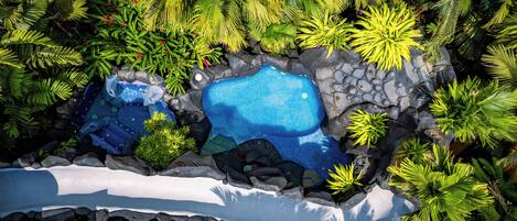 Piscina cercada por plantas tropicais e pedras.