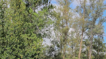 Área de recreio para crianças (ao ar livre)