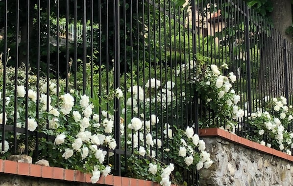 Área da propriedade