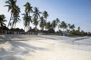 Uma praia com palmeiras e cabanas de palha.
