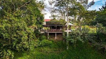 Jardim