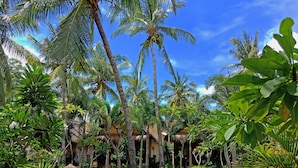 Um jardim tropical com palmeiras, uma estrutura de telhado de palha e um gramado bem cuidado.