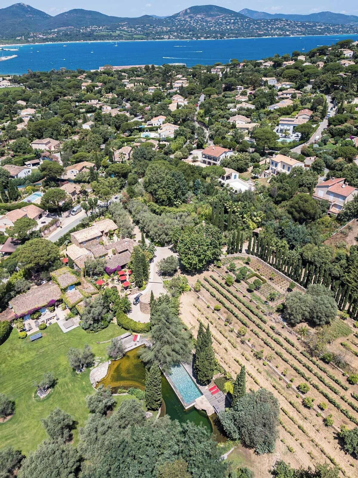 Vista aérea de um bairro residencial com casas, jardins e uma piscina.