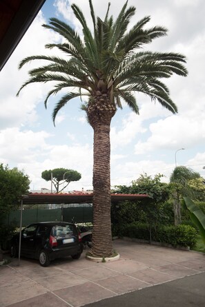 Estacionamento grátis 