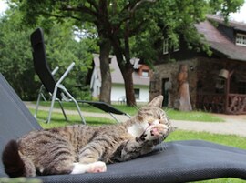 Área de recreio para crianças (ao ar livre)