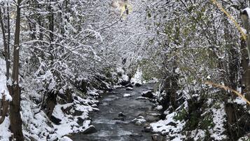 Um riacho coberto de neve serpenteando por uma floresta.
