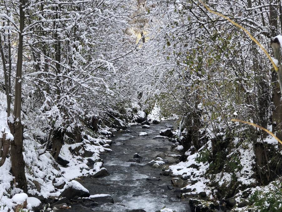 Um riacho coberto de neve serpenteando por uma floresta.