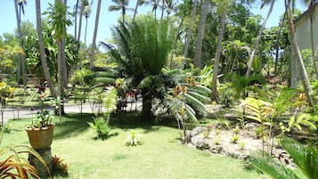 Jardim