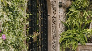 Uma porta preta ornamentada com esculturas detalhadas, uma parede de pedra com elementos decorativos e folhagem verde crescendo na parede.