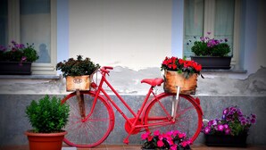 Uma bicicleta vermelha com cestas na parte da frente e de trás, estacionada em frente a um edifício com plantas em vasos.