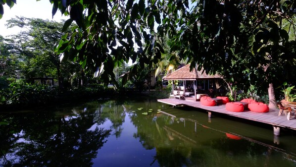 Terrenos do alojamento