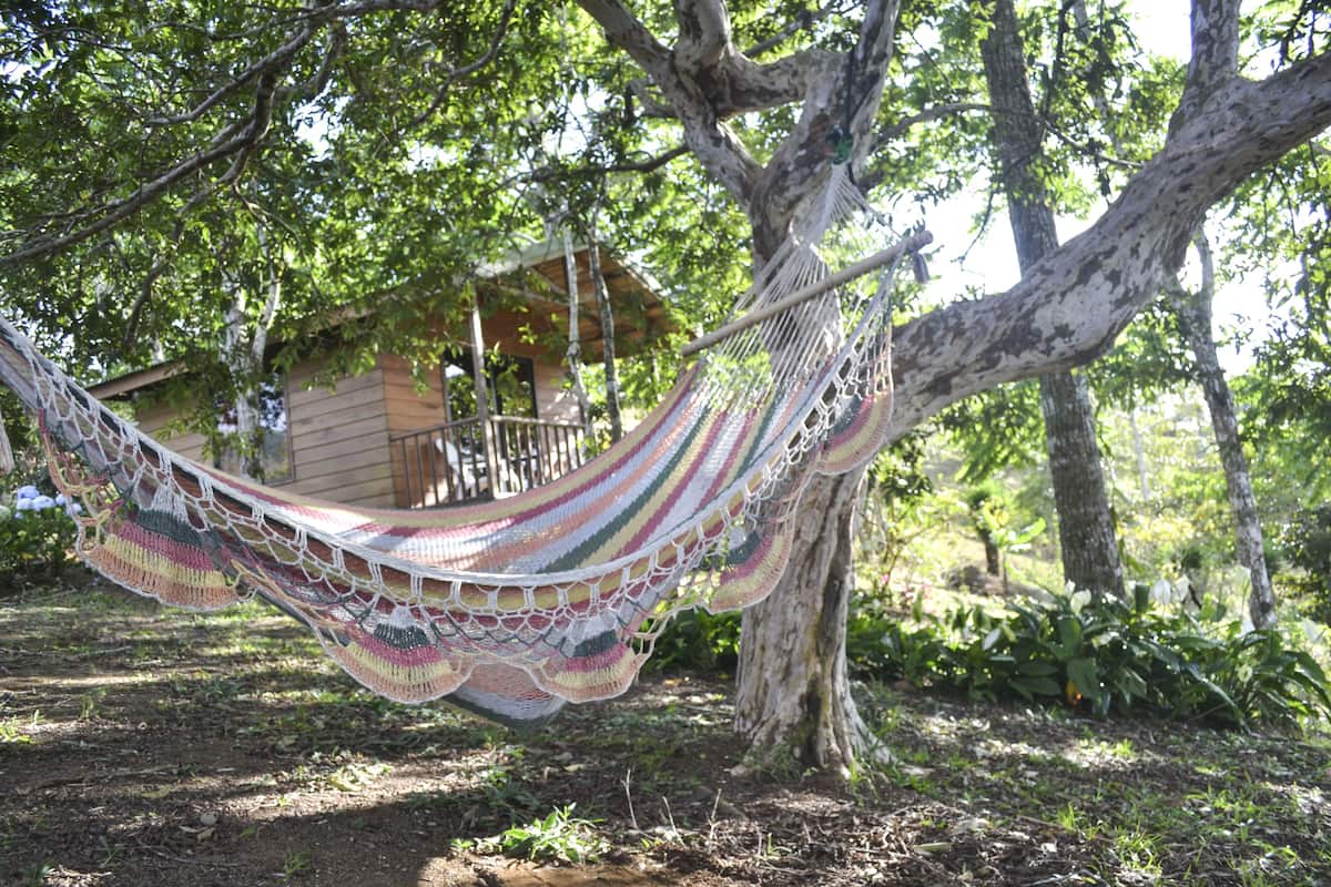 Chalé Panorâmico, 1 cama king-size, acessível | Jardim